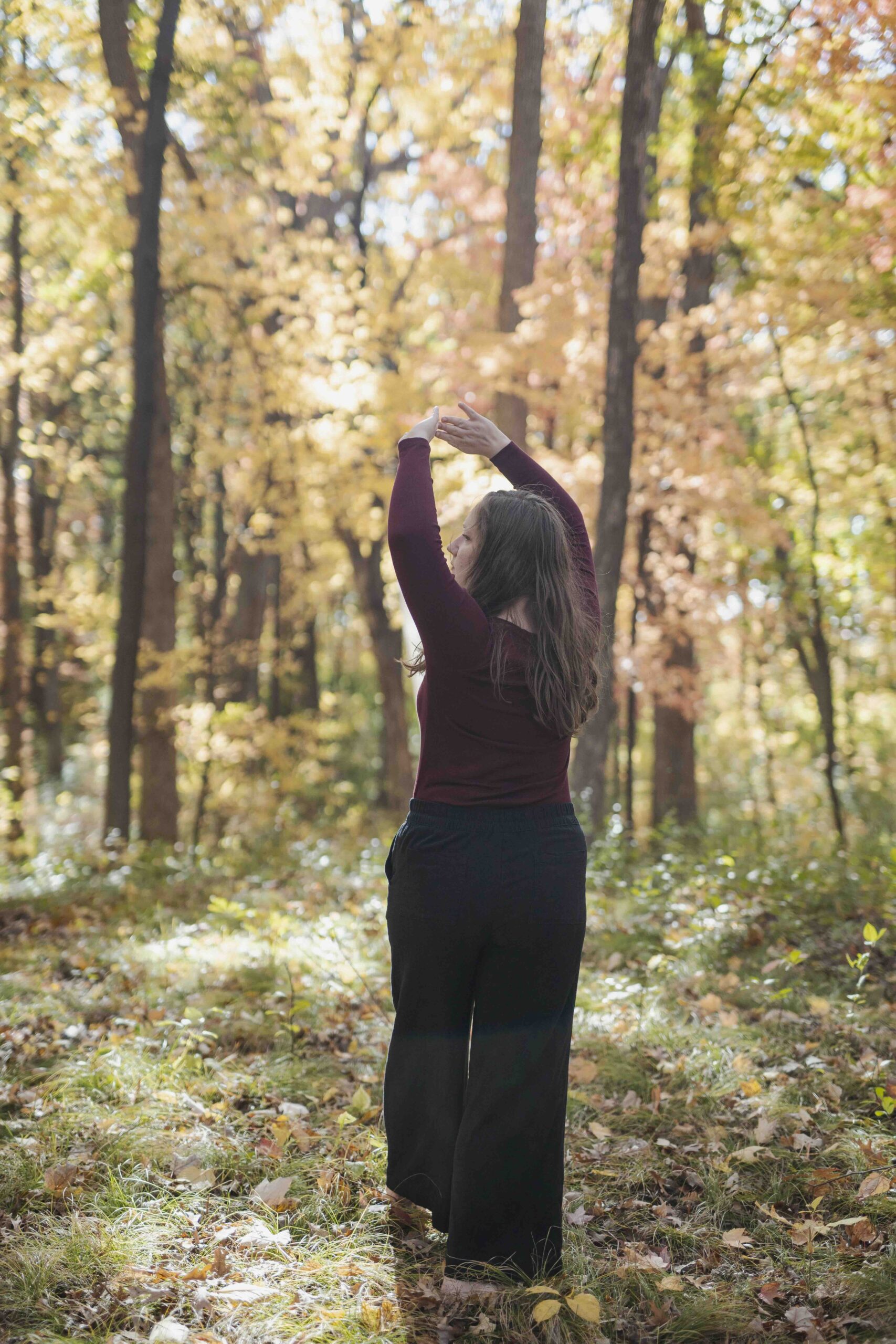 Elemental Body: A Dance Film Journey - Southeastern Minnesota Arts Council